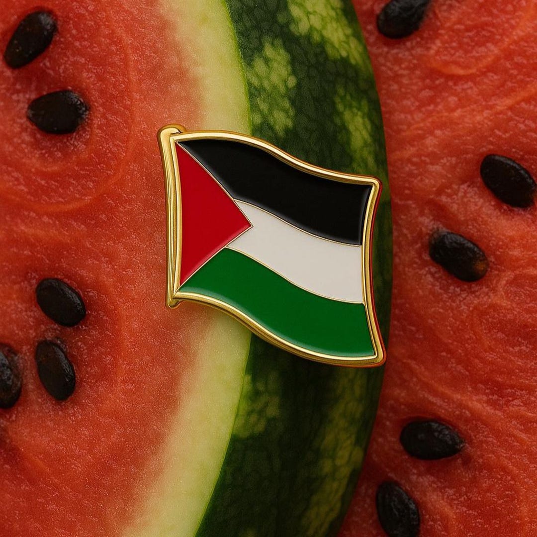 Handmade Palestine Flag Pin – Enamel Pins for Crocs, Bags, Jackets, or ...
