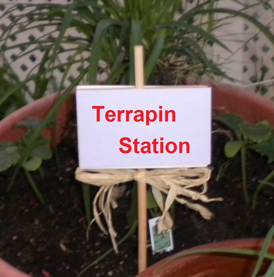 Mini Garden Sign 1 - Terrapin Station is a Small Sign That Can Be Used ...