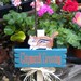 Mini Garden Sign 1 - Terrapin Station is a Small Sign That Can Be Used ...