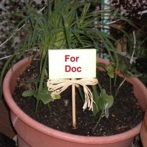 Mini Garden Sign 1 - Terrapin Station is a Small Sign That Can Be Used ...