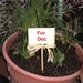 Mini Garden Sign 1 - Terrapin Station is a Small Sign That Can Be Used ...