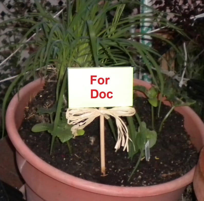 Mini Garden Sign 1 - Terrapin Station is a Small Sign That Can Be Used ...