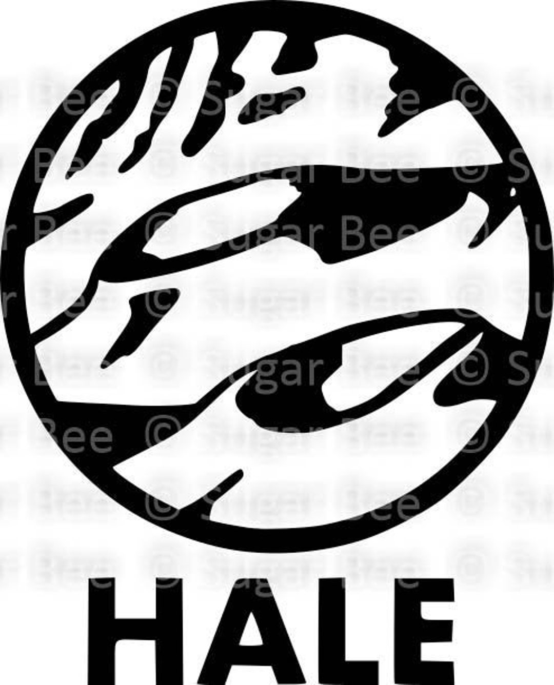 Haleakalā National Park ARCH SVG Png Studio3 File, Cutfile, Vector ...