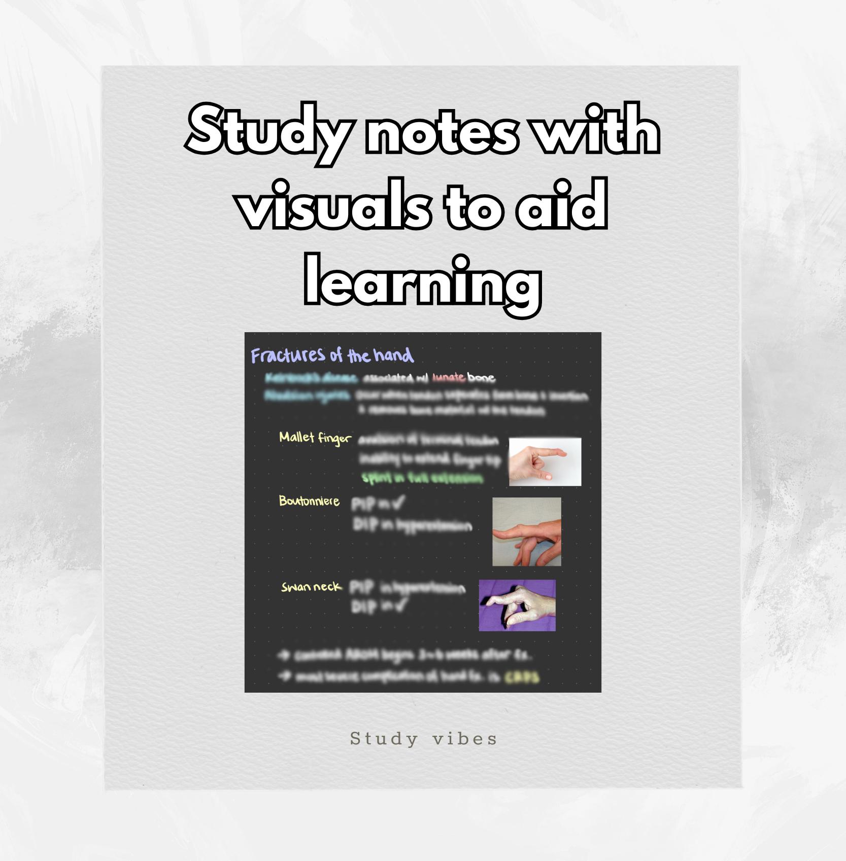 NBCOT Exam Study Notes - Etsy