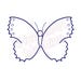 Butterfly Line Art Prints: Uncolored Insect Drawings (digital Download ...