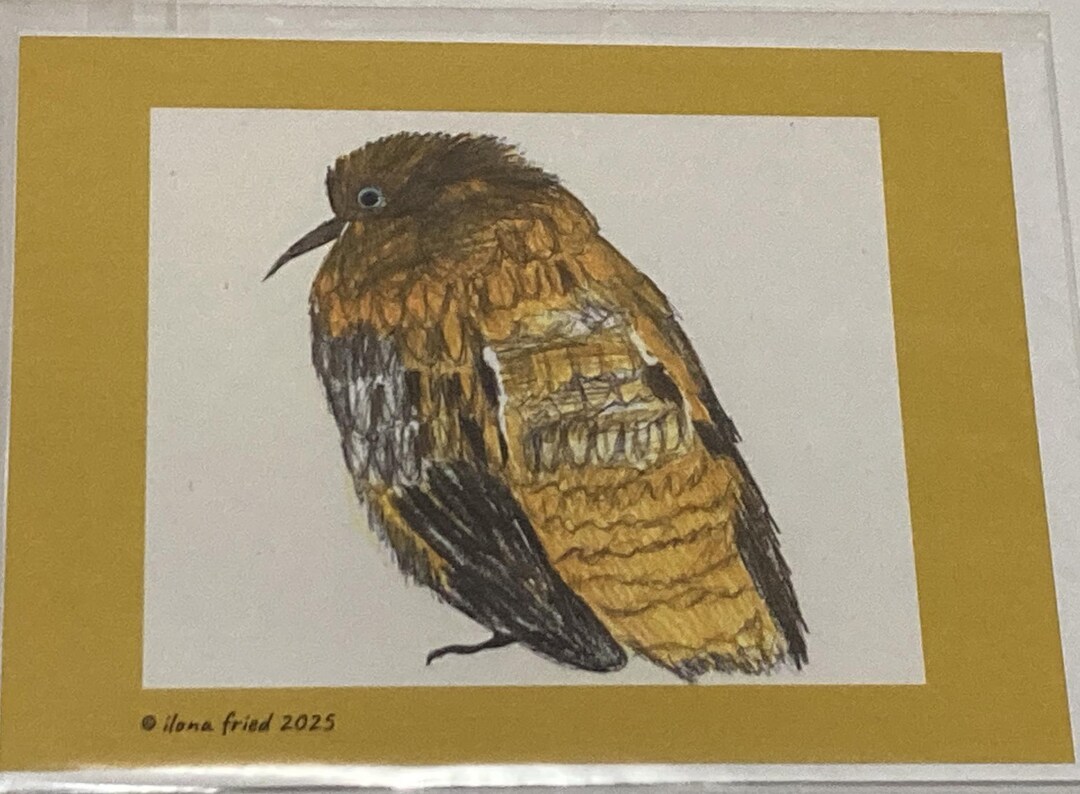 Mourning Dove Note Card - Etsy