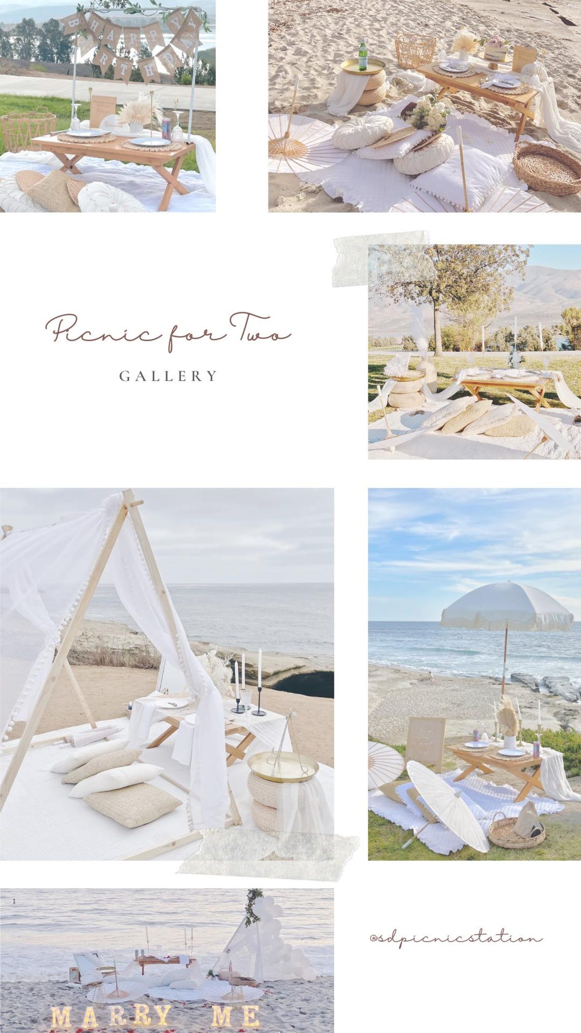Luxury Picnic Packages/prices, T&C | Editable Template - Etsy