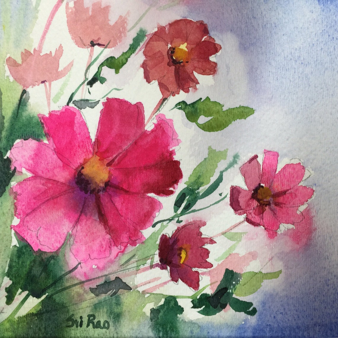 Pink Daisy- Floral Original Watercolor Painting by Sriwatercolors 6 X 6 ...