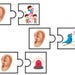 Five Senses Matching Game – 30 Printable Cards – Preschool Activity ...