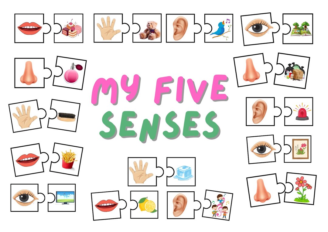 Five Senses Matching Game – 30 Printable Cards – Preschool Activity ...