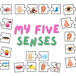 Five Senses Matching Game – 30 Printable Cards – Preschool Activity ...