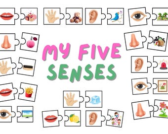 Five Senses Matching Game - Etsy