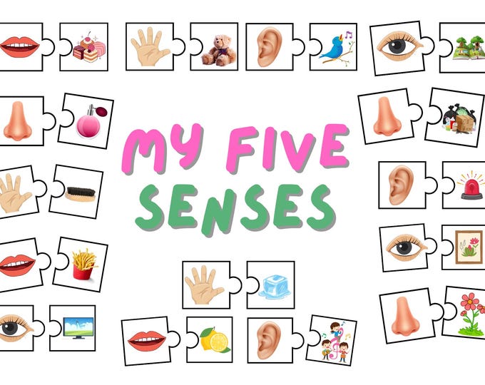 Five Senses Matching Game Cards: Montessori Early Learning (PDF) - Etsy ...