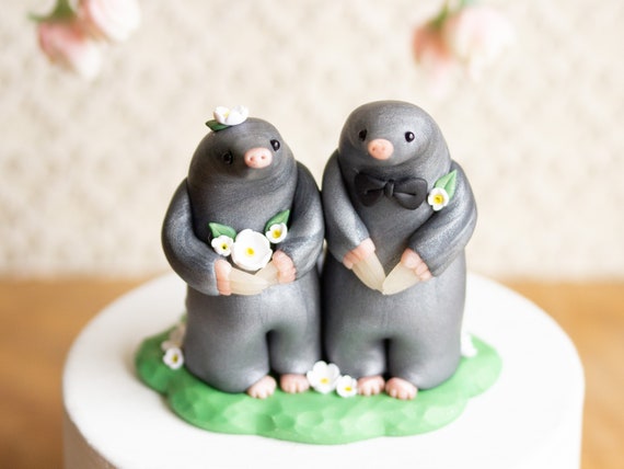 Mole Cakes