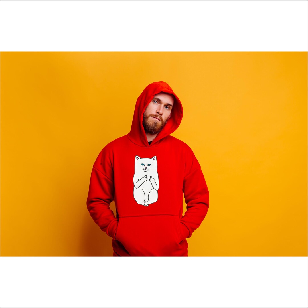 Cat Middle Finger Meme Hoodie, Funny Cute Cat Lover Sarcastic Double ...