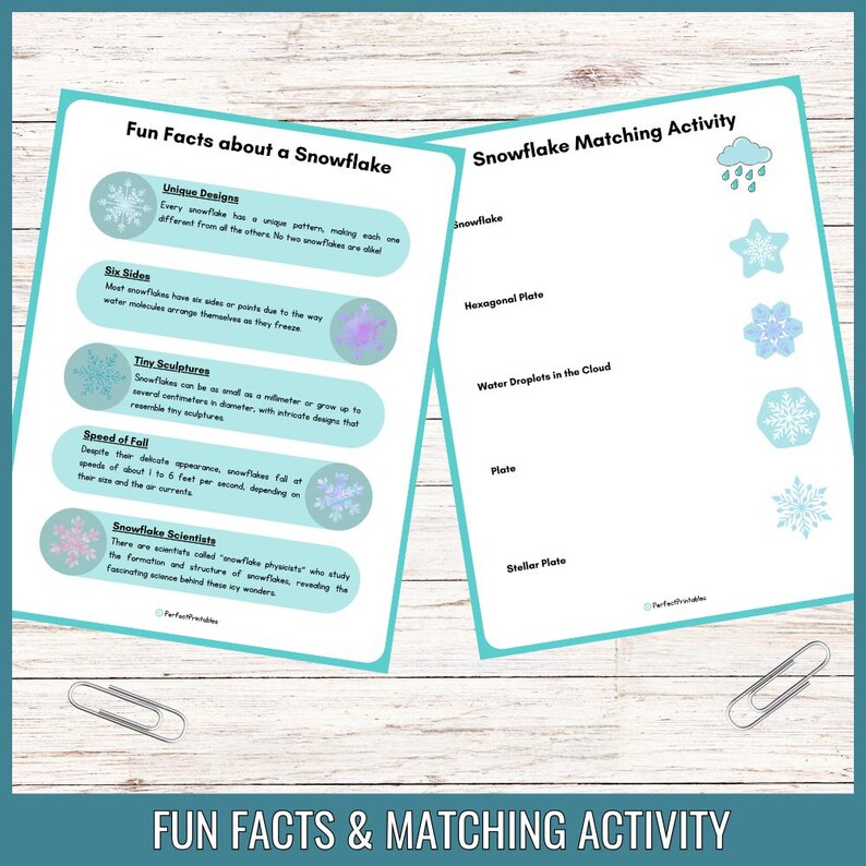 Life Cycle of a Snowflake Worksheet: Winter Science Center Unit Study ...