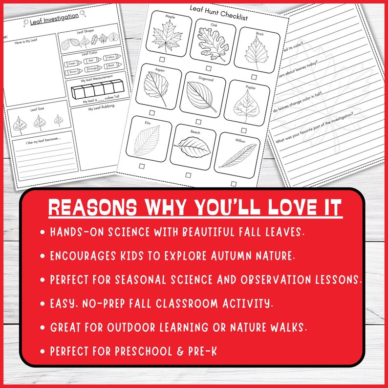 Fall Leaf Investigation | Science Center Observation Sheet for Preschool & Pre-k, Autumn Leaf ...