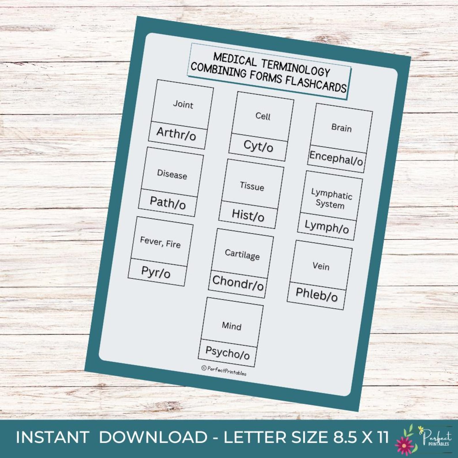 Medical Terminology Flashcards | Prefix, Suffixes, Root Words ...