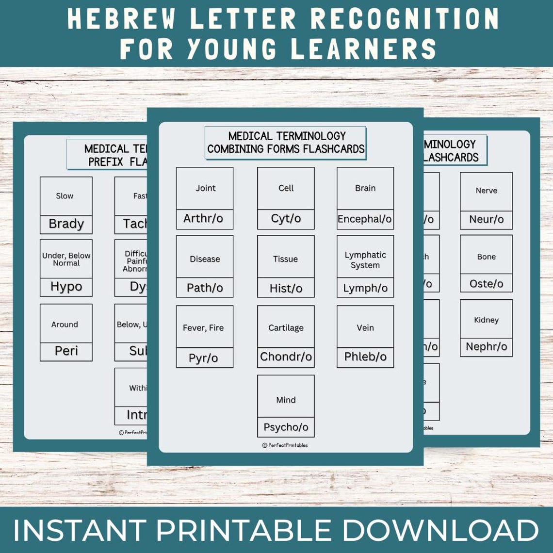 Medical Terminology Flashcards | Prefix, Suffixes, Root Words ...