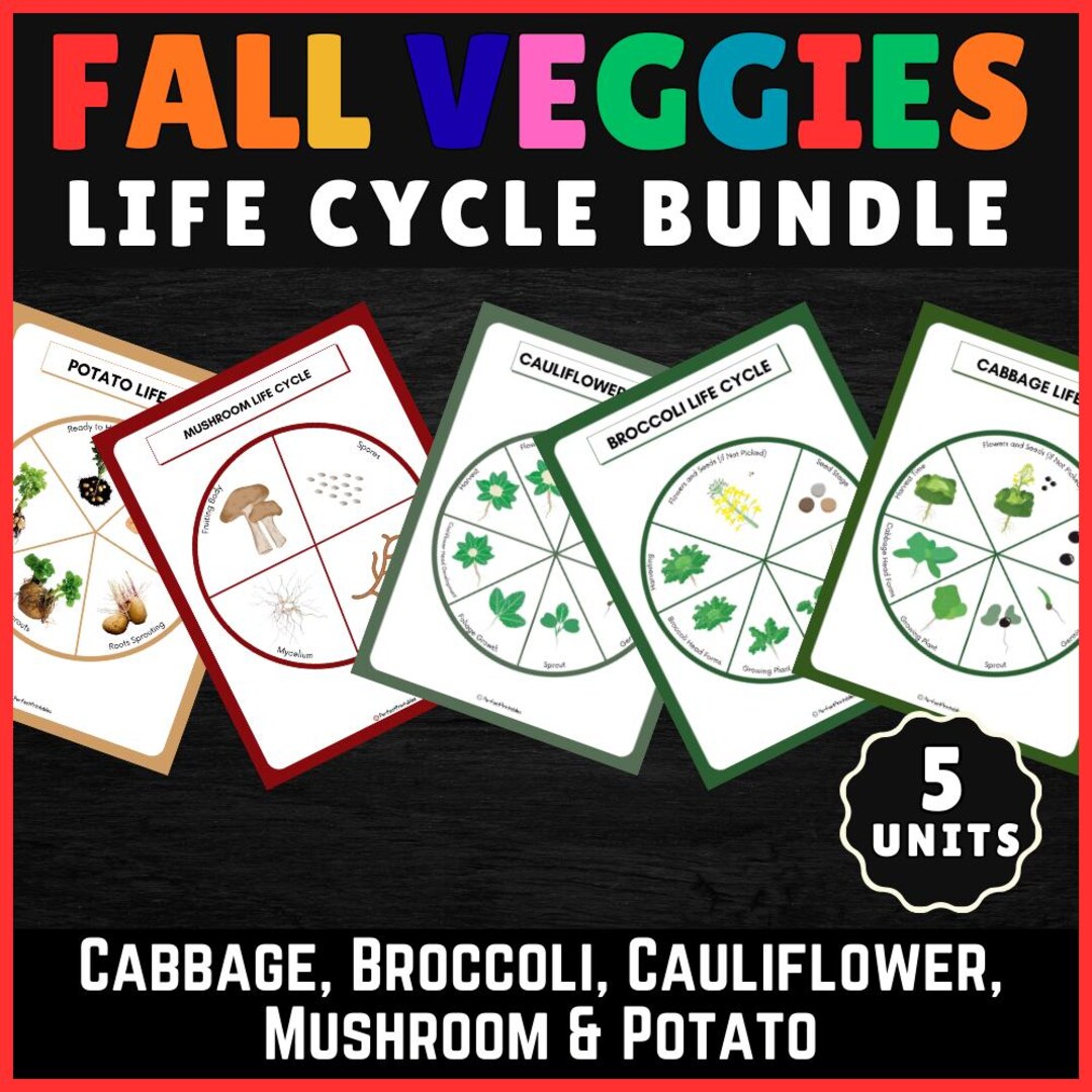 Fall Veggies & Fungi Life Cycle Bundle: Cabbage Broccoli Cauliflower ...