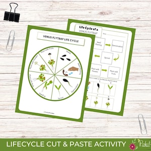 Life Cycle of a Venus Flytrap Worksheet- Plant Science Unit Study With ...