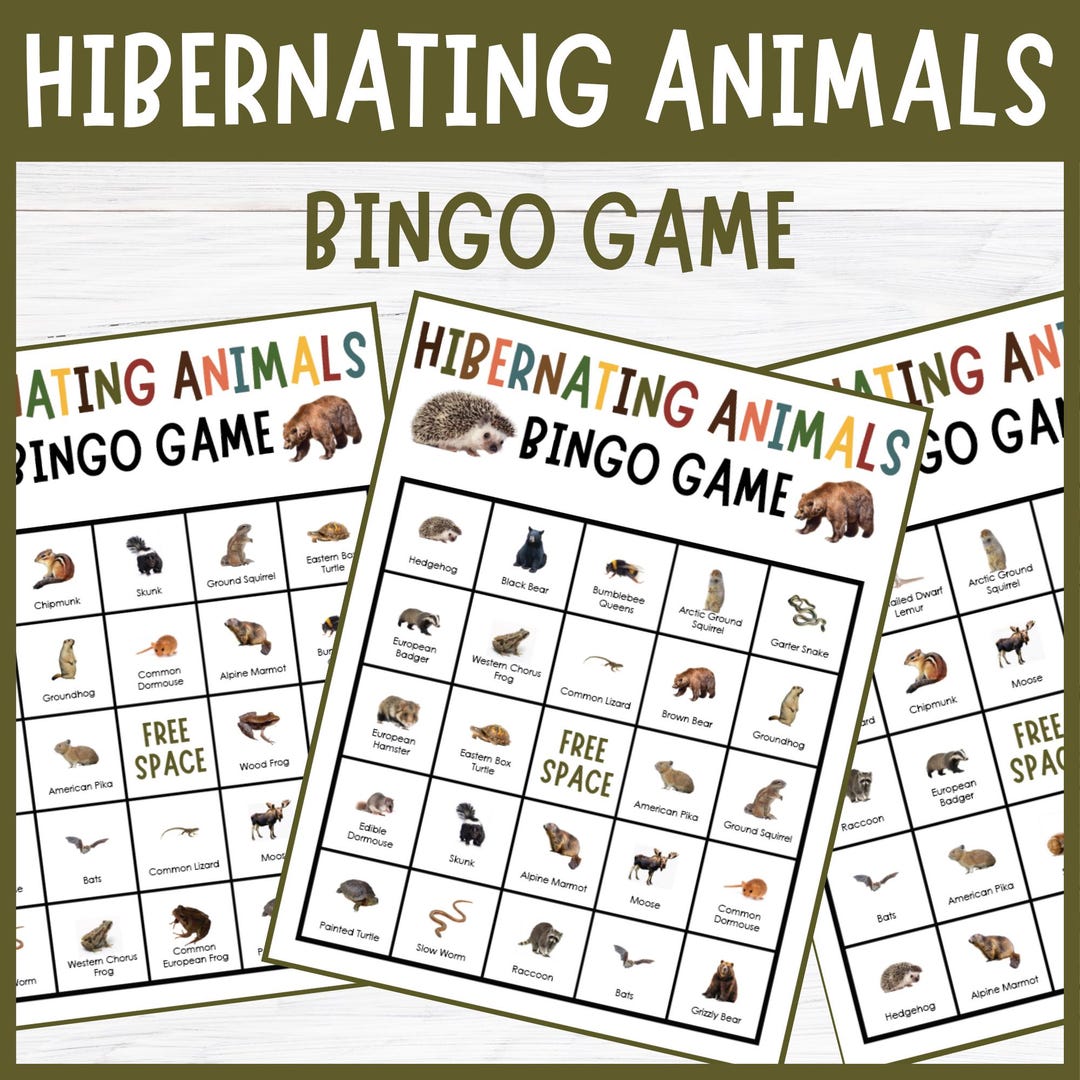 No Prep Hibernating Animal Bingo Game | Fun Winter Seasonal Nature ...