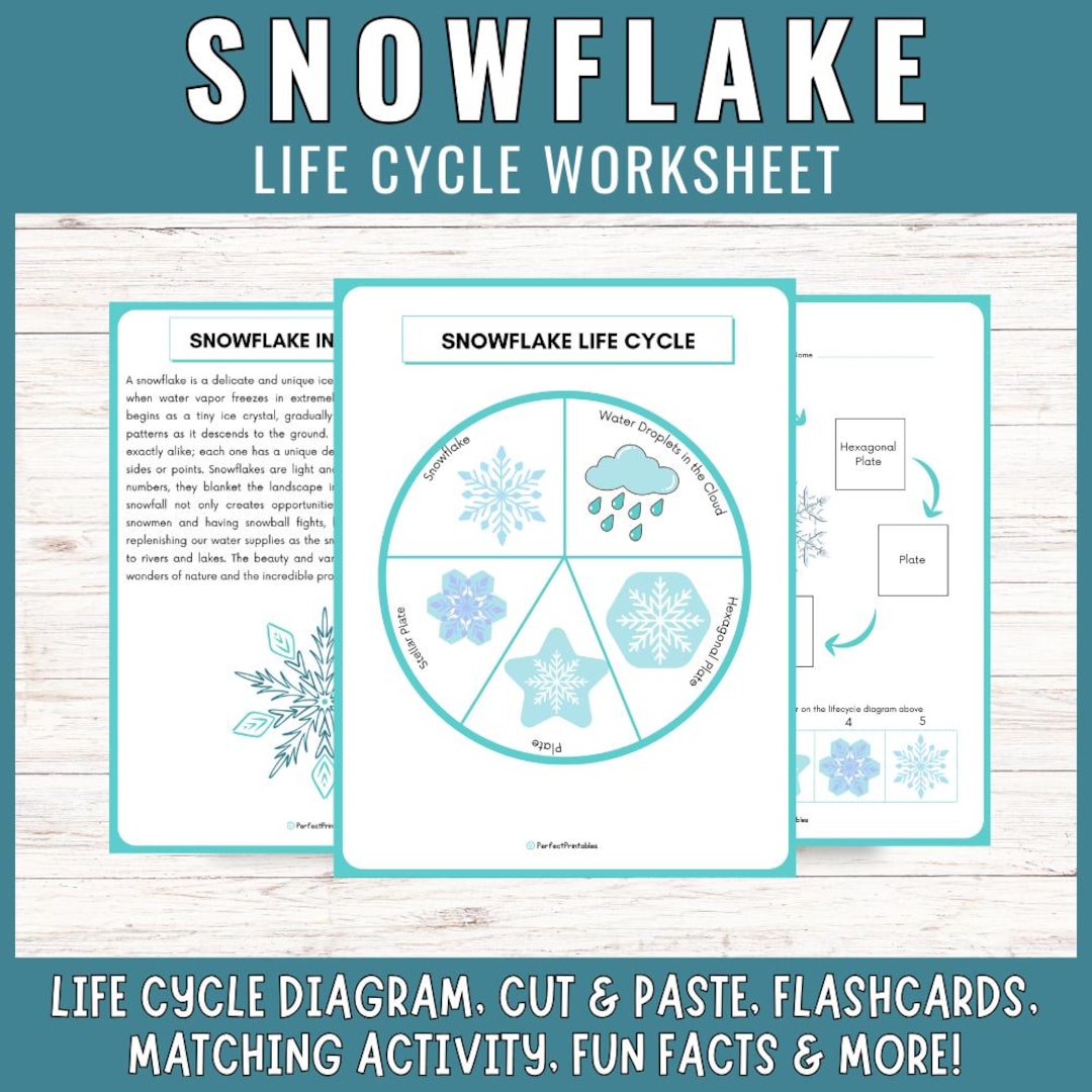 Life Cycle of a Snowflake Worksheet: Winter Science Center Unit Study ...