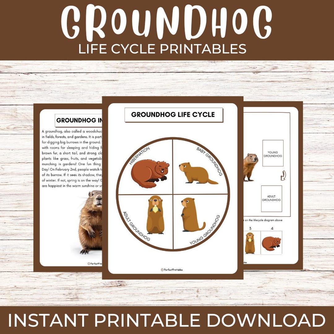 Groundhog Life Cycle | Rodent Woodchuck Science Unit Study & Fun Facts ...