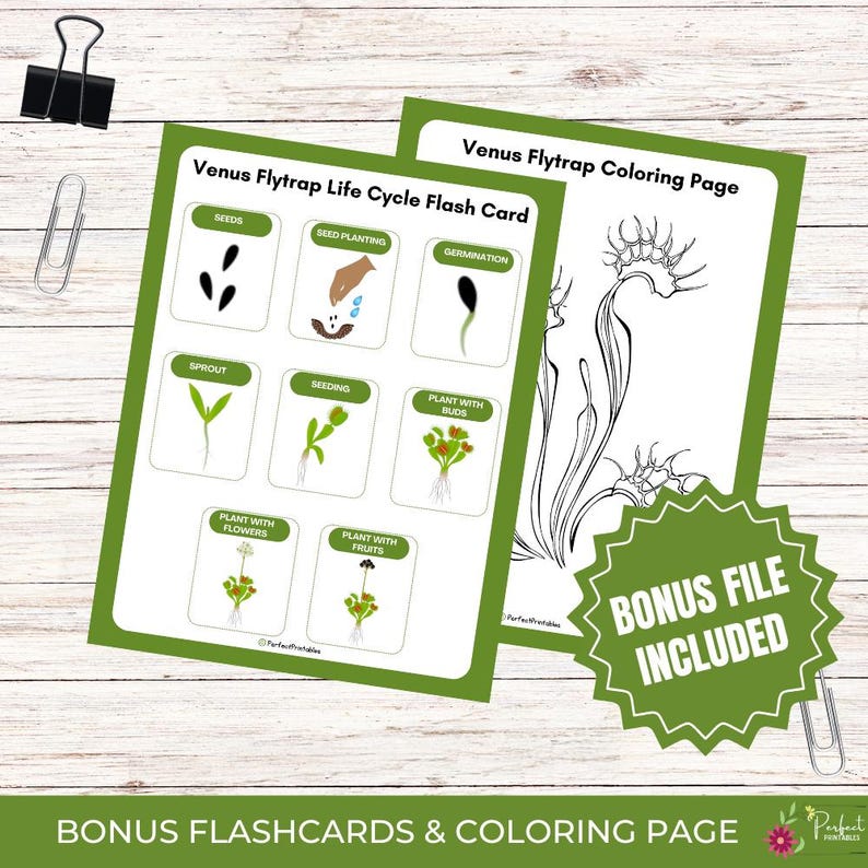 Life Cycle of a Venus Flytrap Worksheet- Plant Science Unit Study With ...