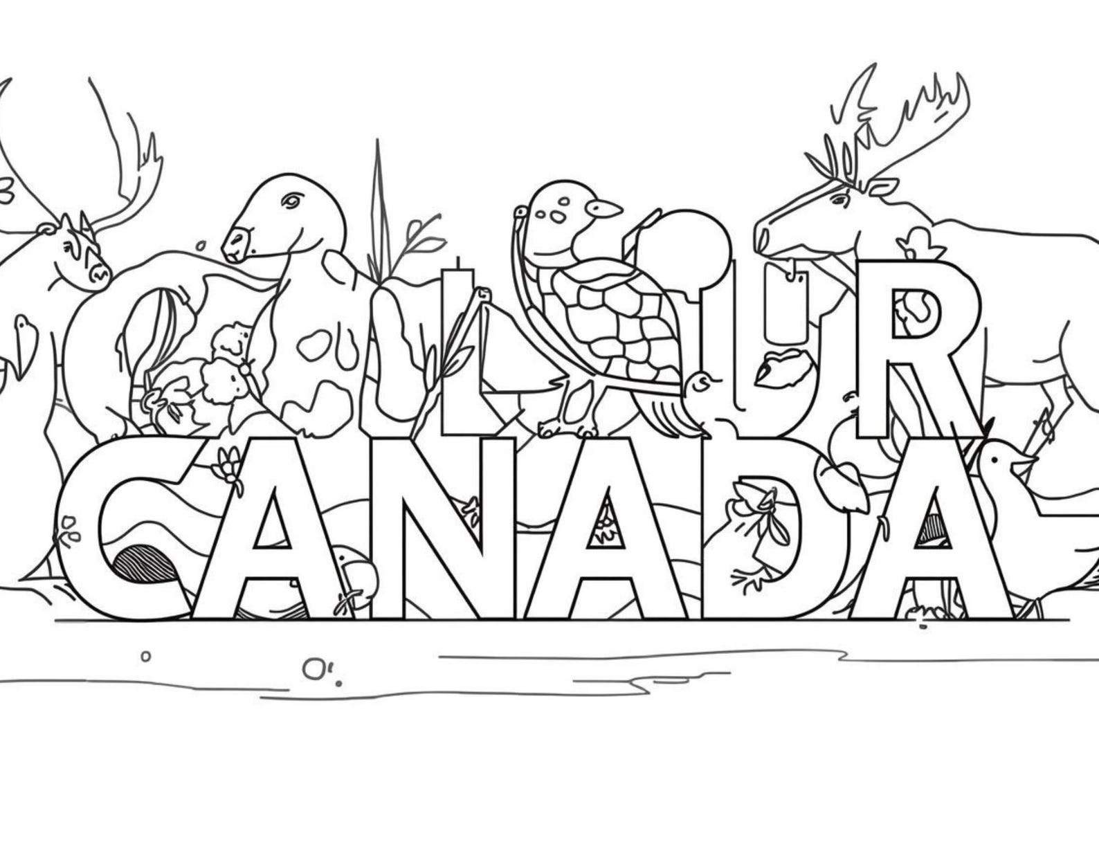 Canada Coloring Book: Animals & Nature - 10 Page Printable (digital ...