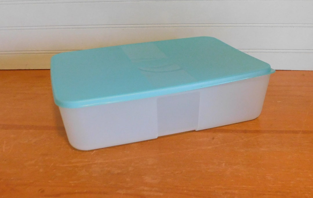 Freezer Mate, Tupperware, Blue Lid - Etsy