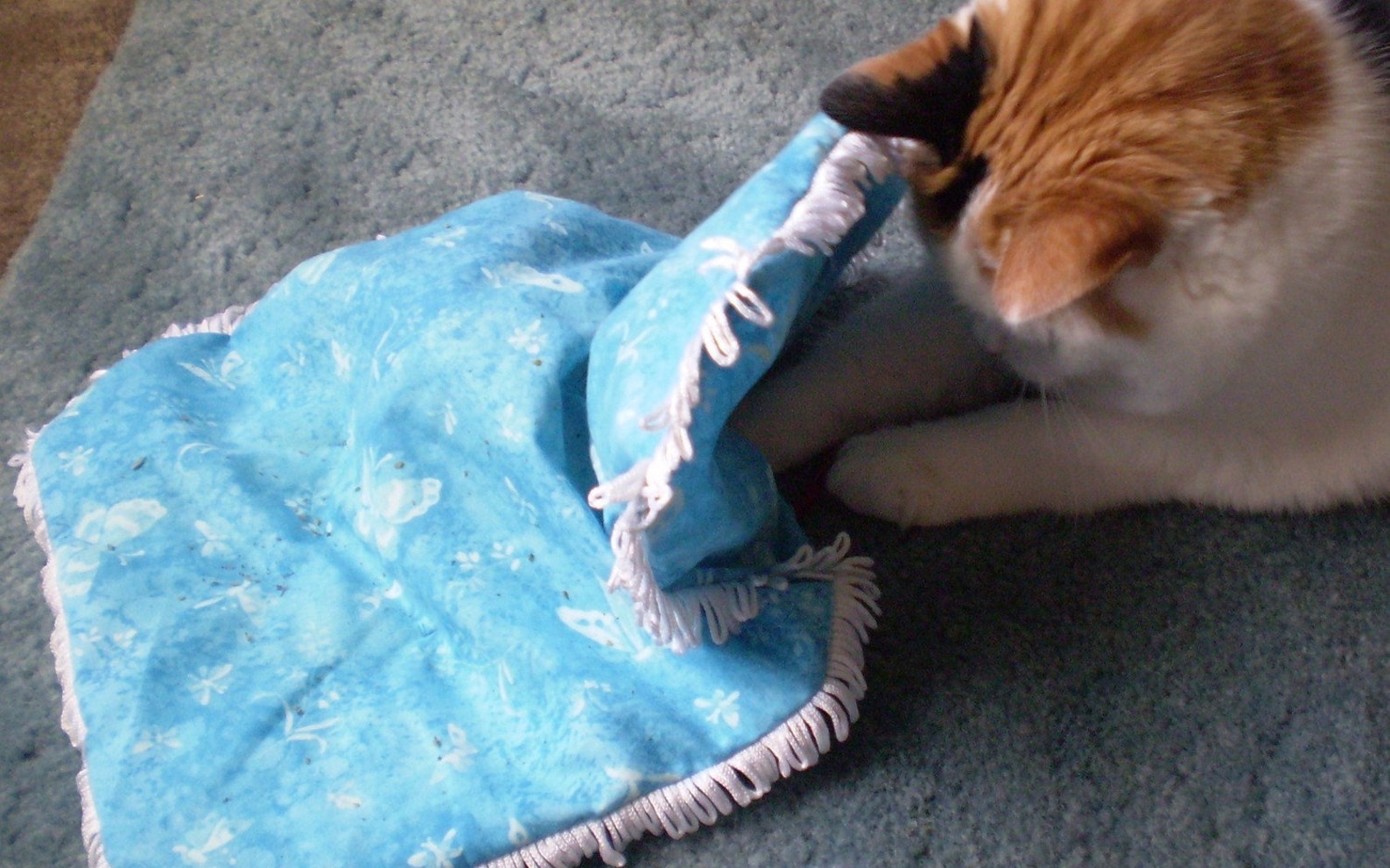 Catnip Crinkle Mat Toy Bed Festive Floral W Lime Fringe for Cats and ...