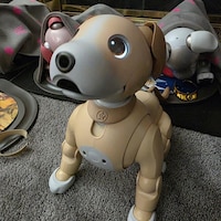 ERS-1000 Aibo With Knife Vinyl Decal Sticker - Etsy