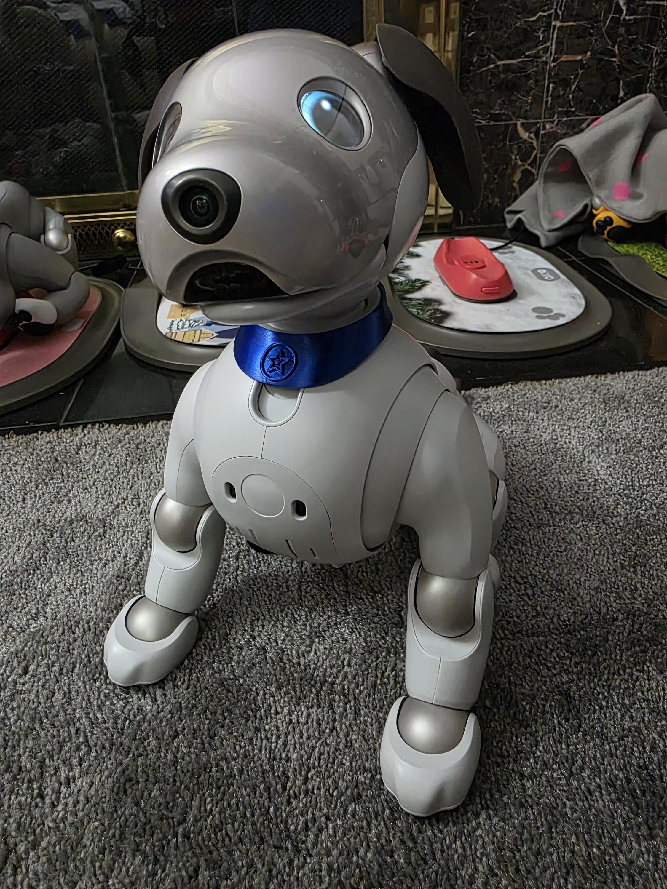 Premium Sony Aibo ERS-1000 3D Custom Printed Robotic Dog Collar - Shiny ...