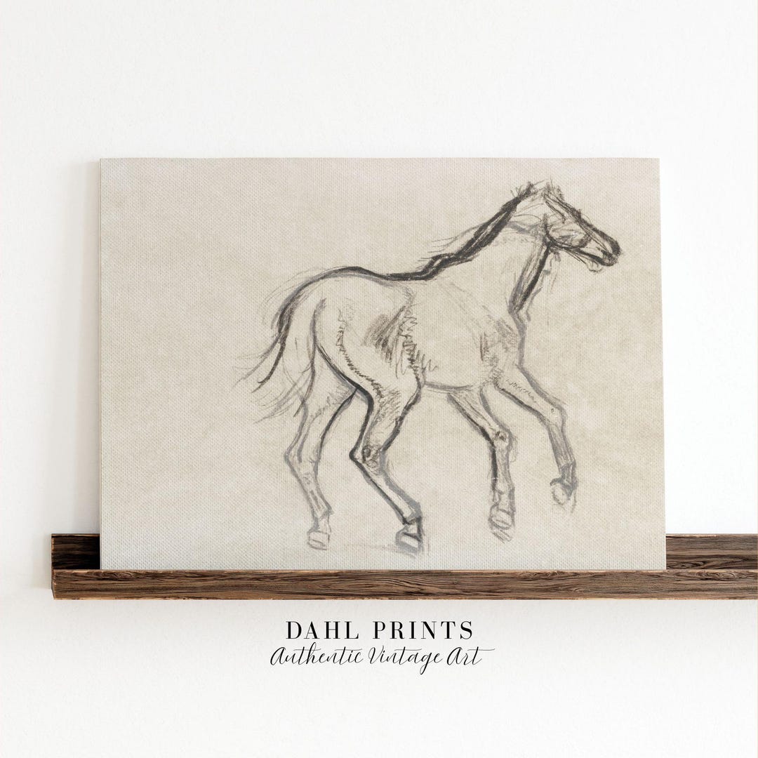 Antique Horse Sketch PRINTABLE: Rustic Equestrian Drawing, Minimalist ...