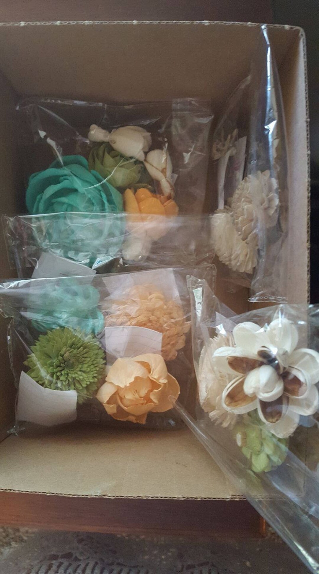 Sola Flower Sample Pack, Sample Flowers, Test Flowers, Color Chart ...