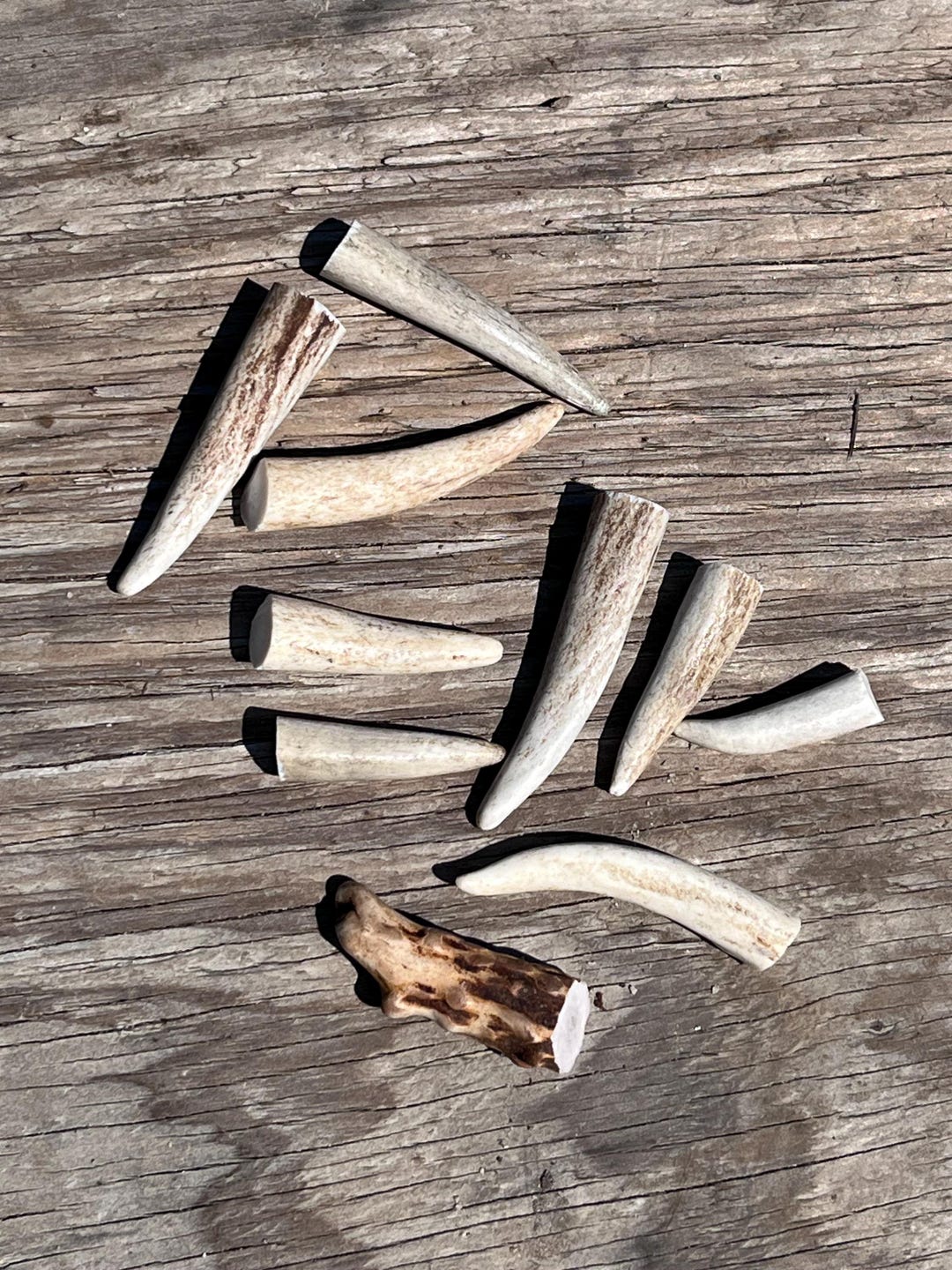 Craft Antler Tips Various Sizes (10ct) - Etsy