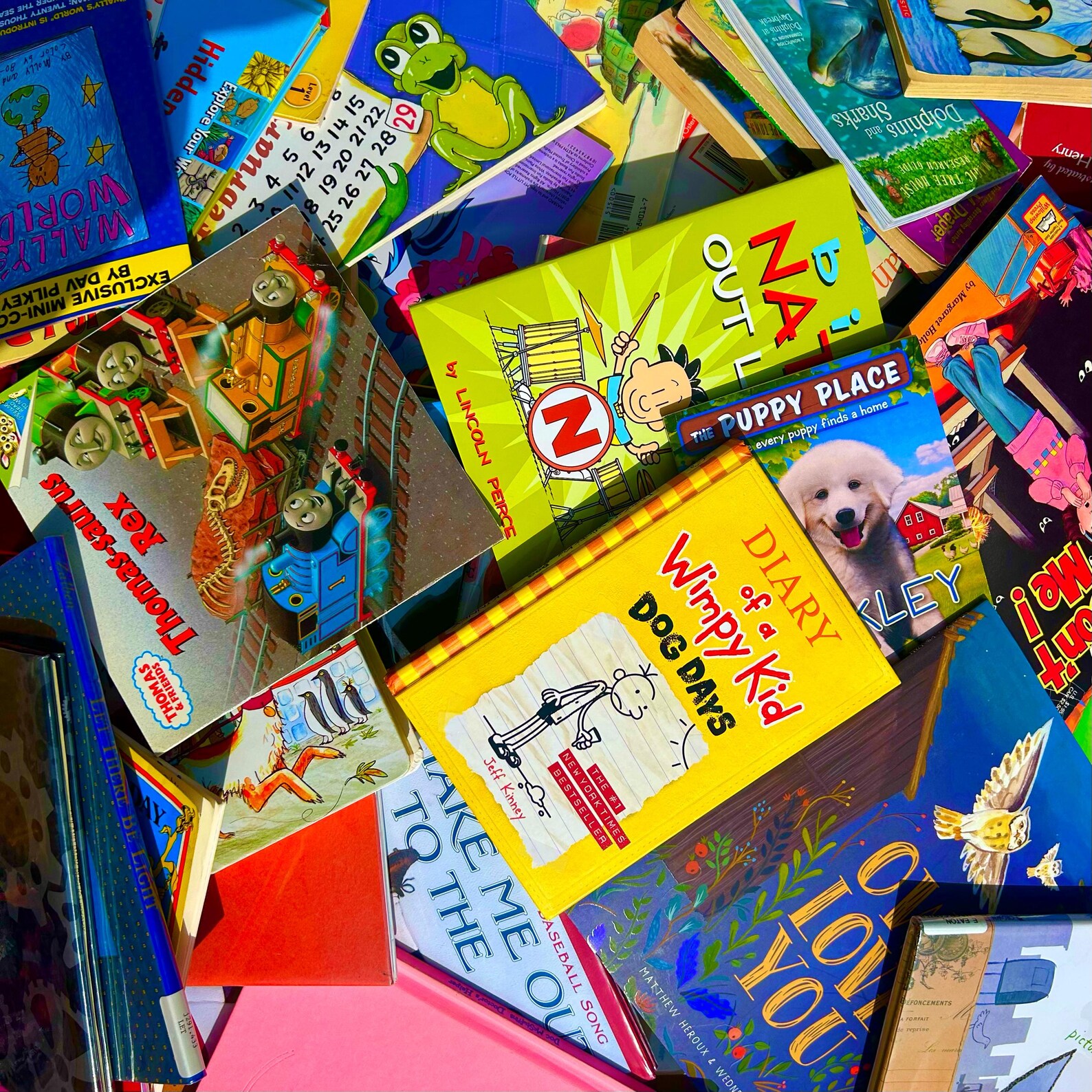 Children’s Bulk Books by the Pound - Mixed Hardcover and Paperback ...
