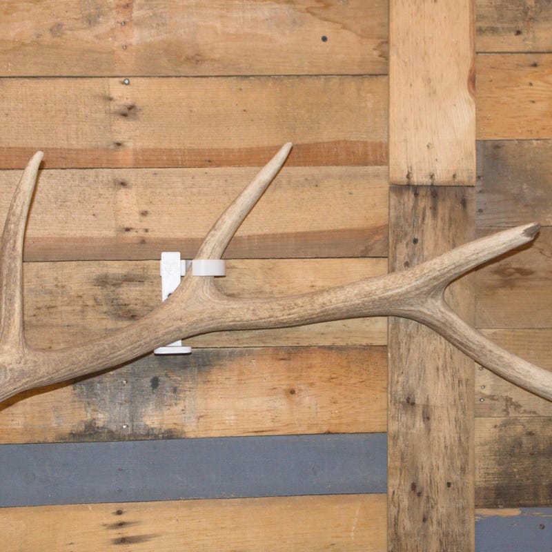 Deer Shed Decorations - Etsy