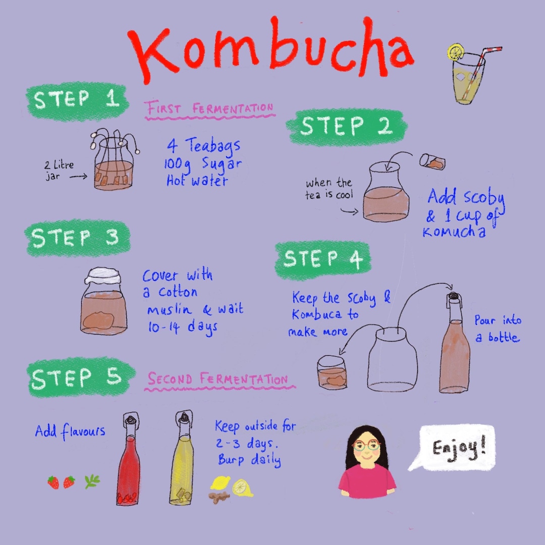 Kombucha Brewing Guide Illustration | Digital Download | Hand-drawn ...