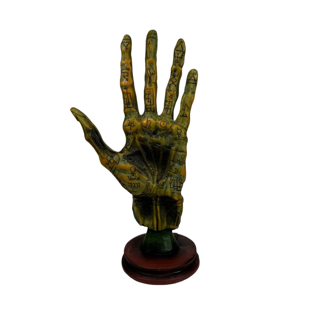 Alchemy Gothic Mummified Palmistry Hand Figure Home Decor Horror ...