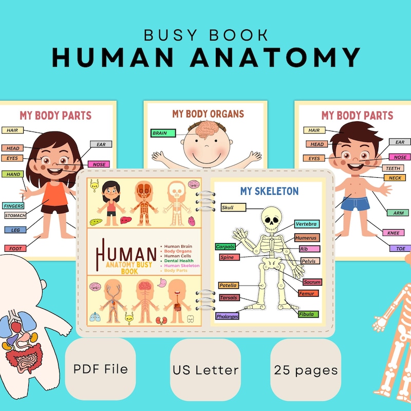 Busy Book - Etsy