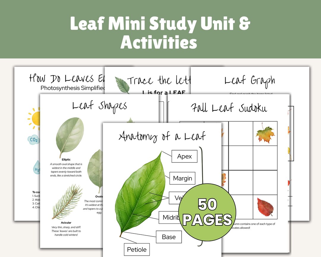 Leaf Unit Study Printable, Fall Science Activities for Kids, Printable ...
