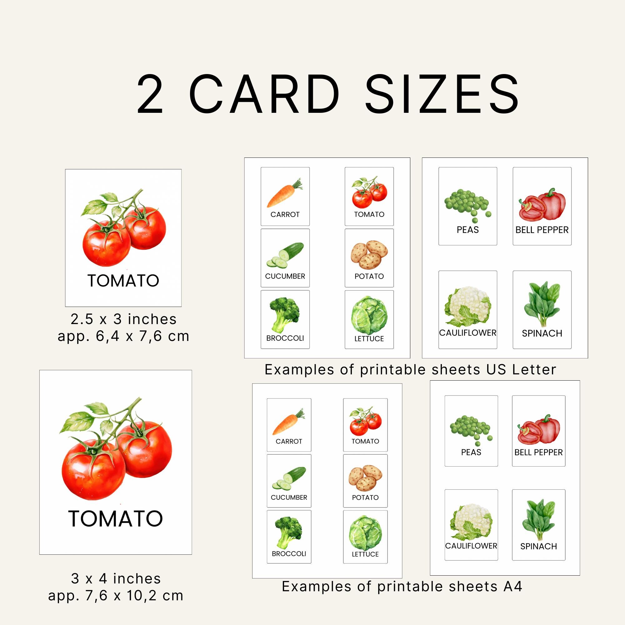 Vegetables Flashcards for Kids – Watercolor Food Vocabulary Cards ...