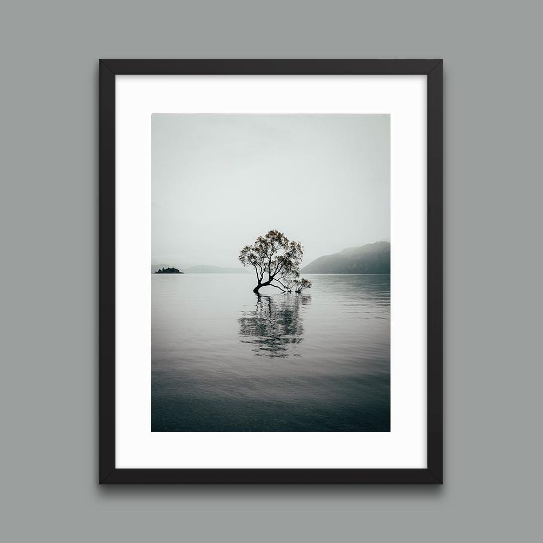 Wanaka Tree Print | New Zealand Landscape Wall Art, Nature Photography ...