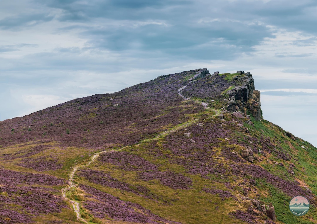Path Through Heather - the Roaches Fine Art Print Digital Download - Etsy