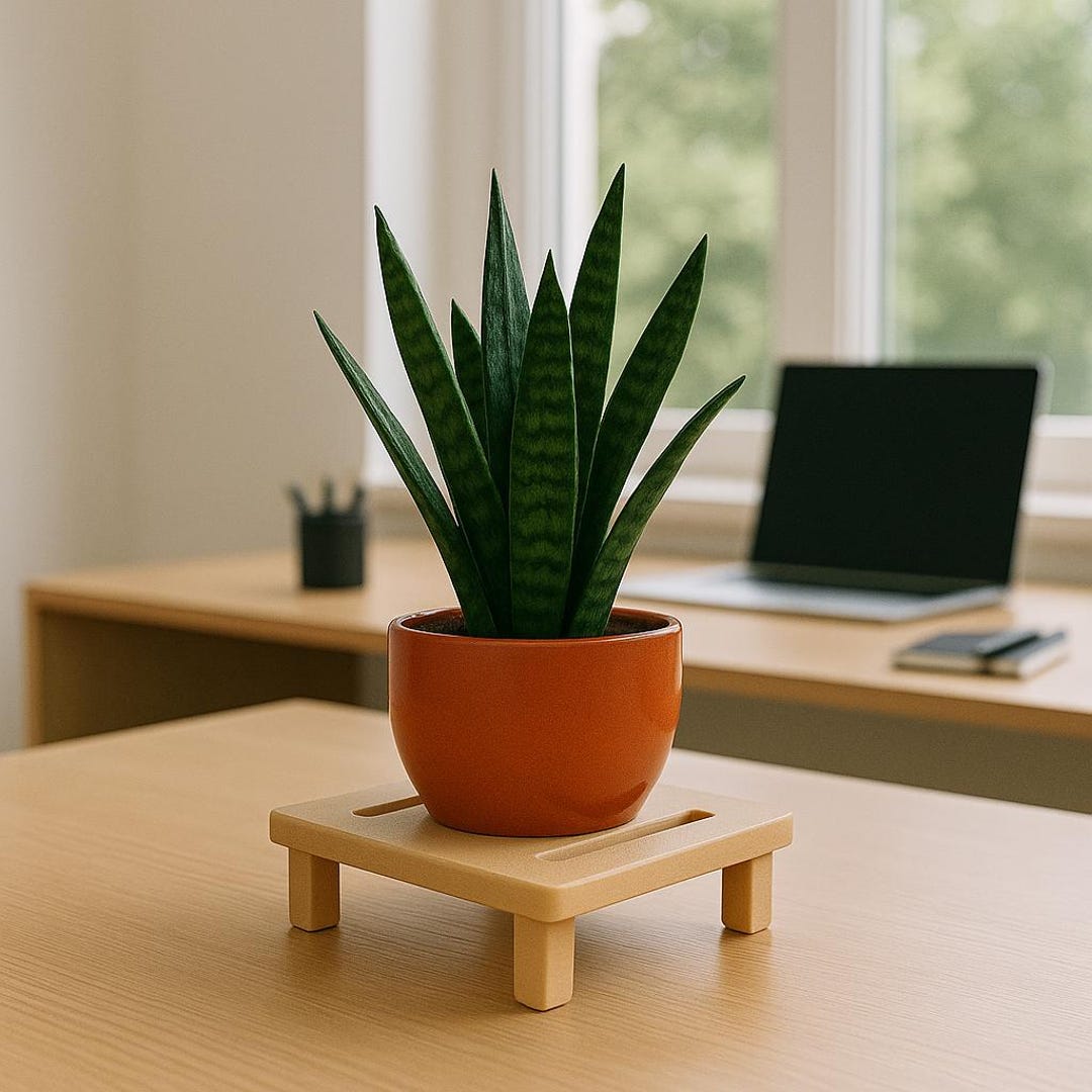 6" Square Plant Stand – Minimalist Modern Riser for Indoor Pots, Desk ...