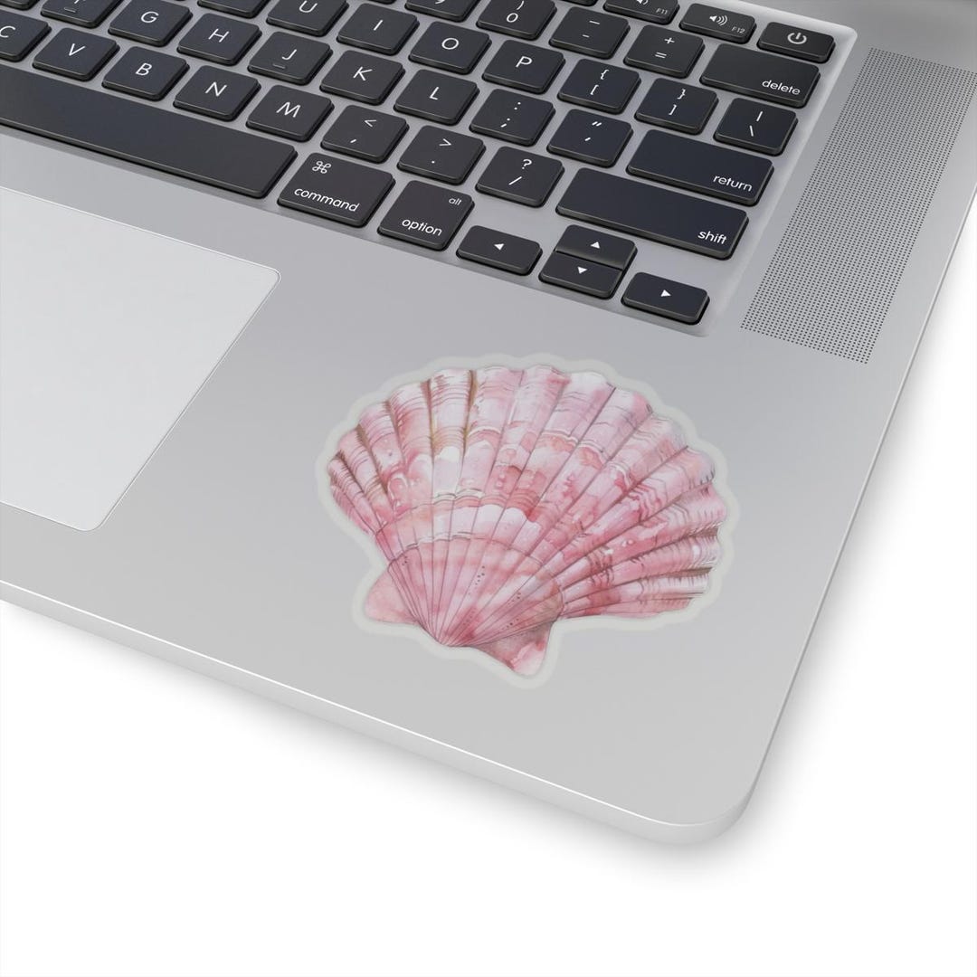 Pink Scallop Sea Shell Sticker - Etsy