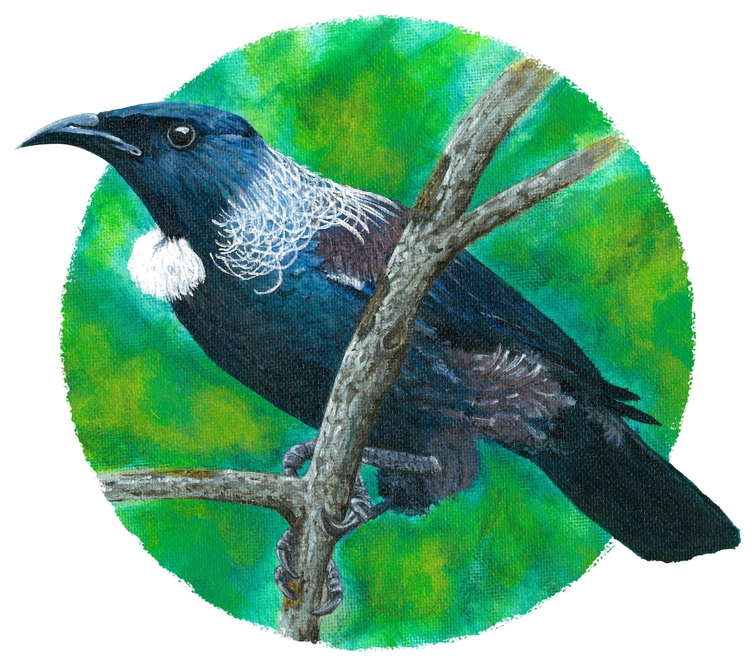 Vibrant Tui Bird Print: New Zealand Native Wildlife Art - Etsy