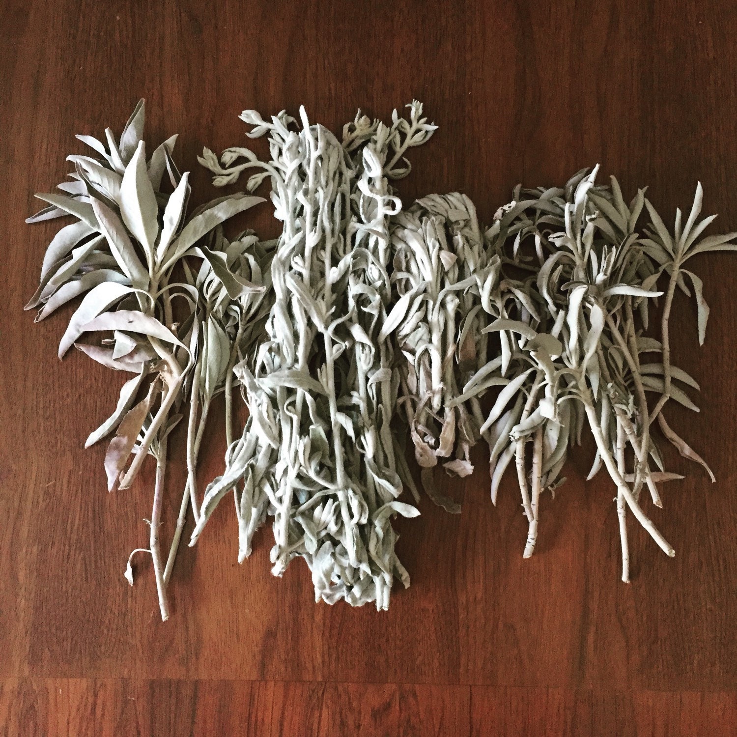 Three Fresh Sage Bundles - Etsy